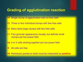 Blood Group Systems_ABO & Rh.ppt