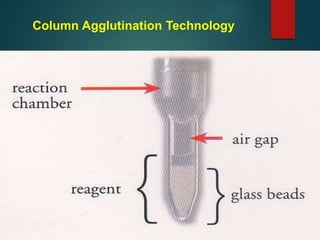 Blood Group Systems_ABO & Rh.ppt