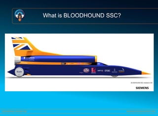 Bloodhound SSC Primary School Presentation | PPTX
