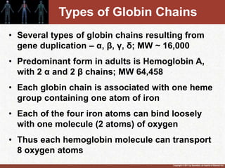 Blood I.pptx | Blood Disorders | Diseases and Conditions