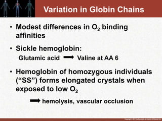 Blood I.pptx | Blood Disorders | Diseases and Conditions