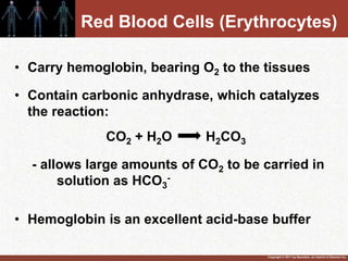 Blood I.pptx | Blood Disorders | Diseases and Conditions