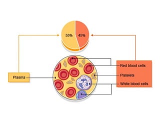 Blood in forensics | PPT