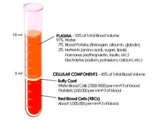 Blood in forensics | PPT