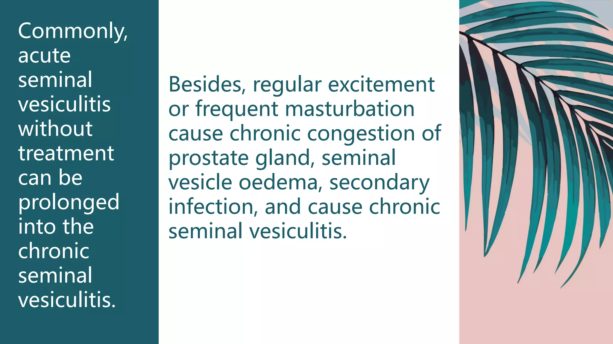 Blood In Semen Caused By Seminal Vesiculitis | PDF