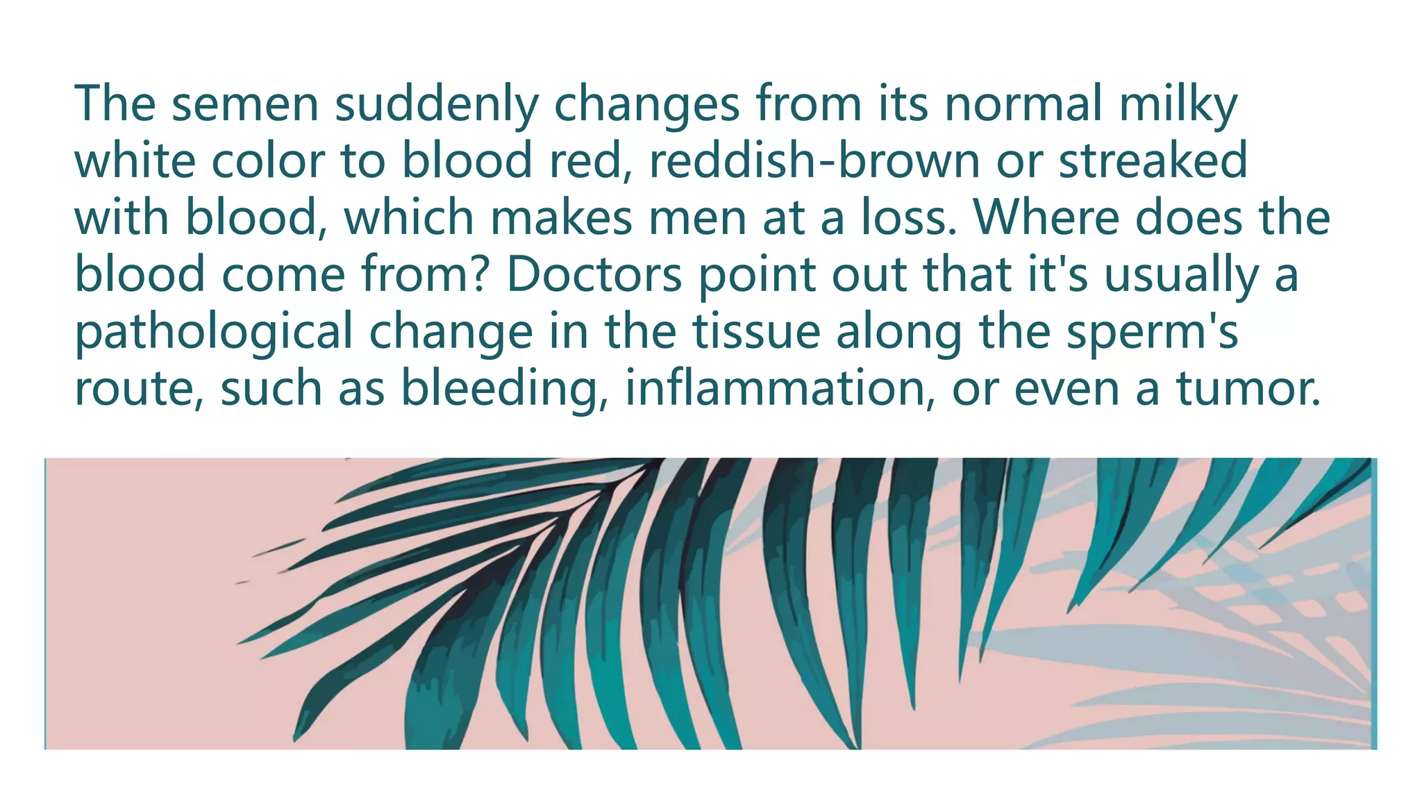 Blood In Semen Caused By Seminal Vesiculitis | PDF