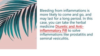 Blood In Semen Caused By Seminal Vesiculitis | PDF