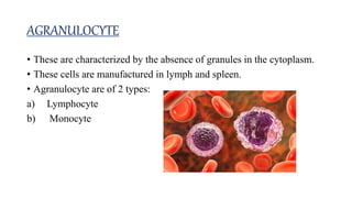 BLOOD & ITS COMPOSITION. DMLT MEDICAL LABORATORY TECHNOLOGY pptx | PPTX