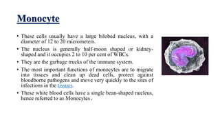 BLOOD & ITS COMPOSITION. DMLT MEDICAL LABORATORY TECHNOLOGY pptx | PPTX