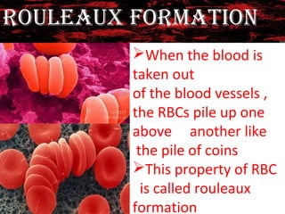 Blood its composition and funtions | PPT