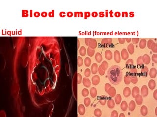 Blood its composition and funtions | PPT