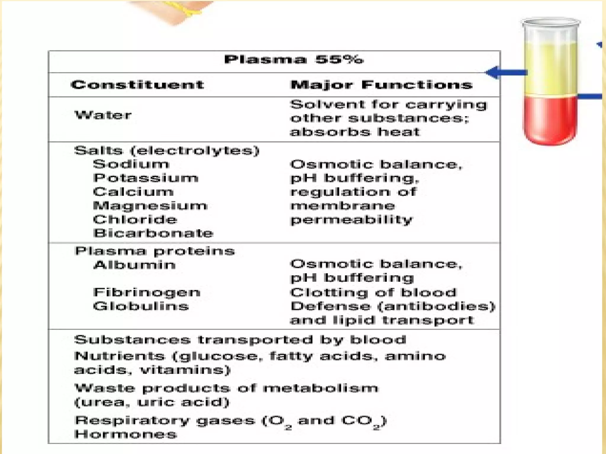 Blood & its functions | PPT