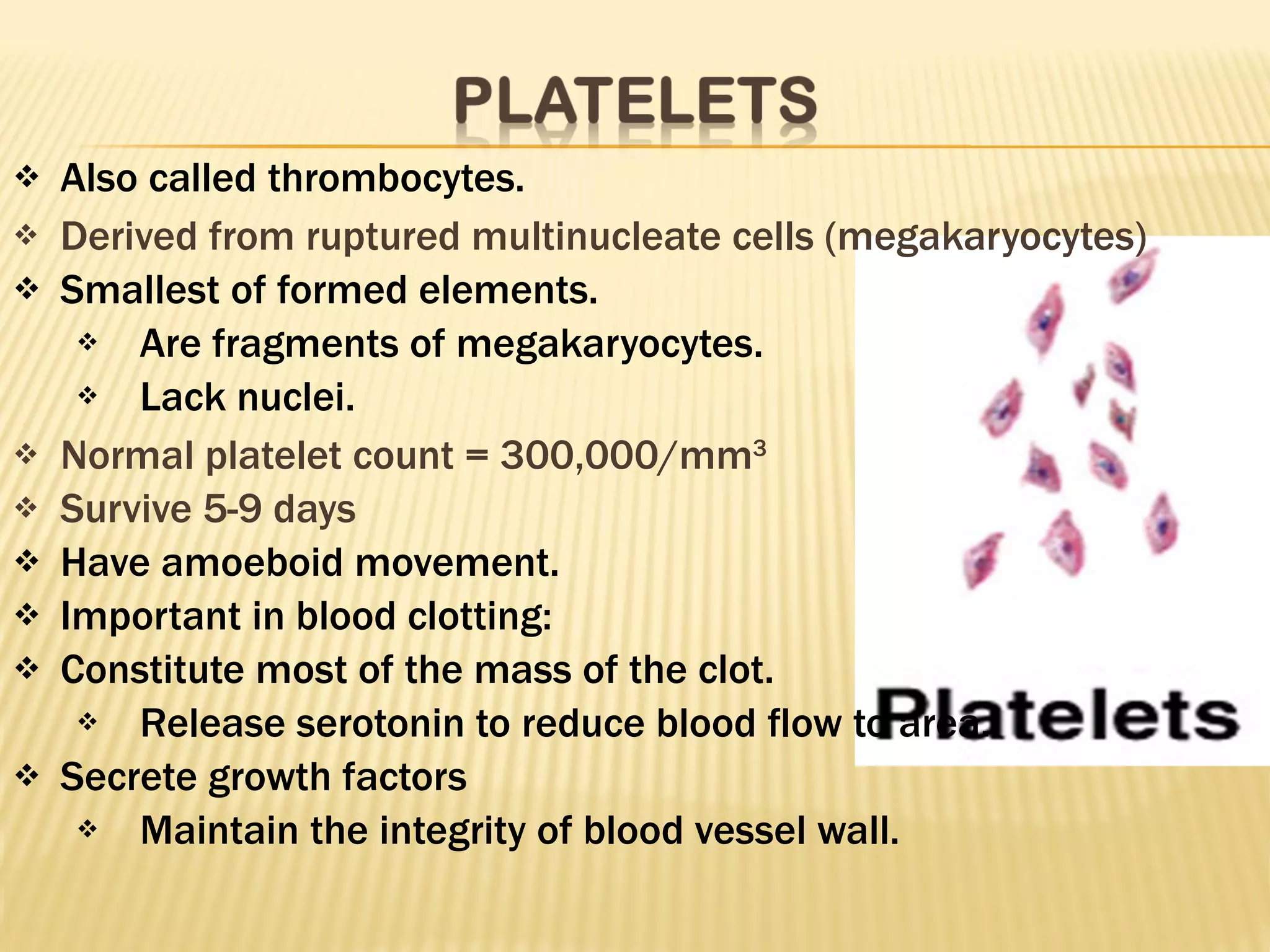 Blood & its functions | PPT