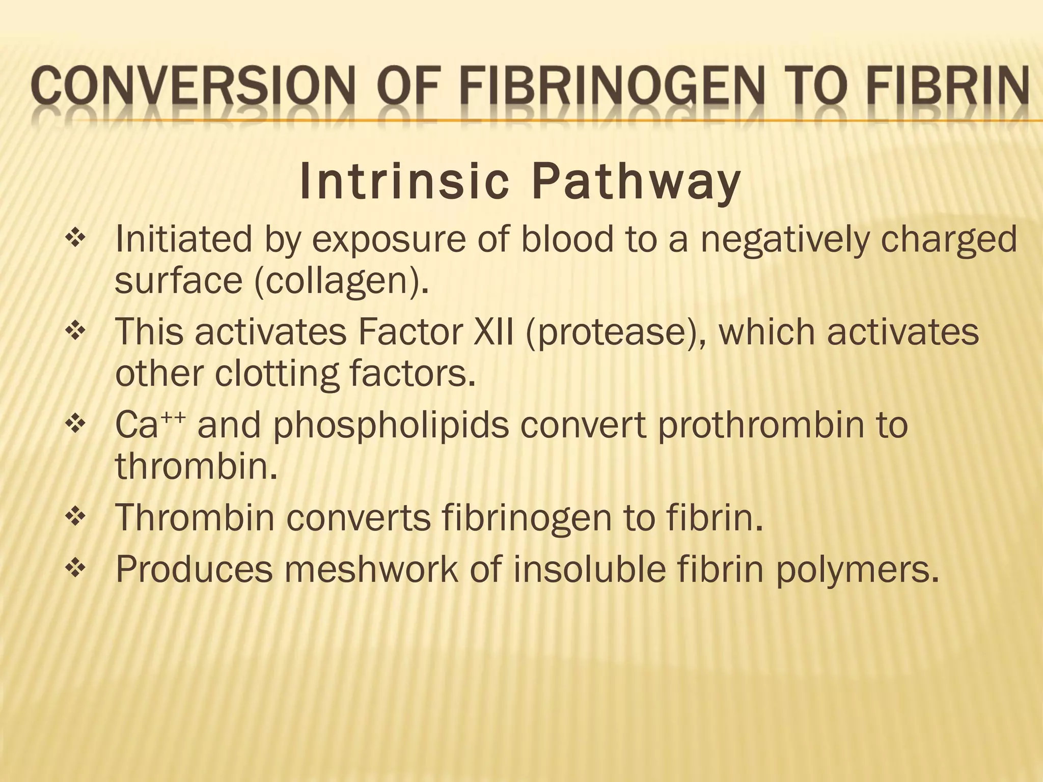 Blood & its functions | PPT
