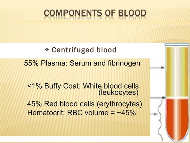 Blood & its functions | PPT