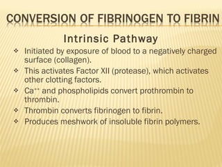 Blood & its functions | PPT