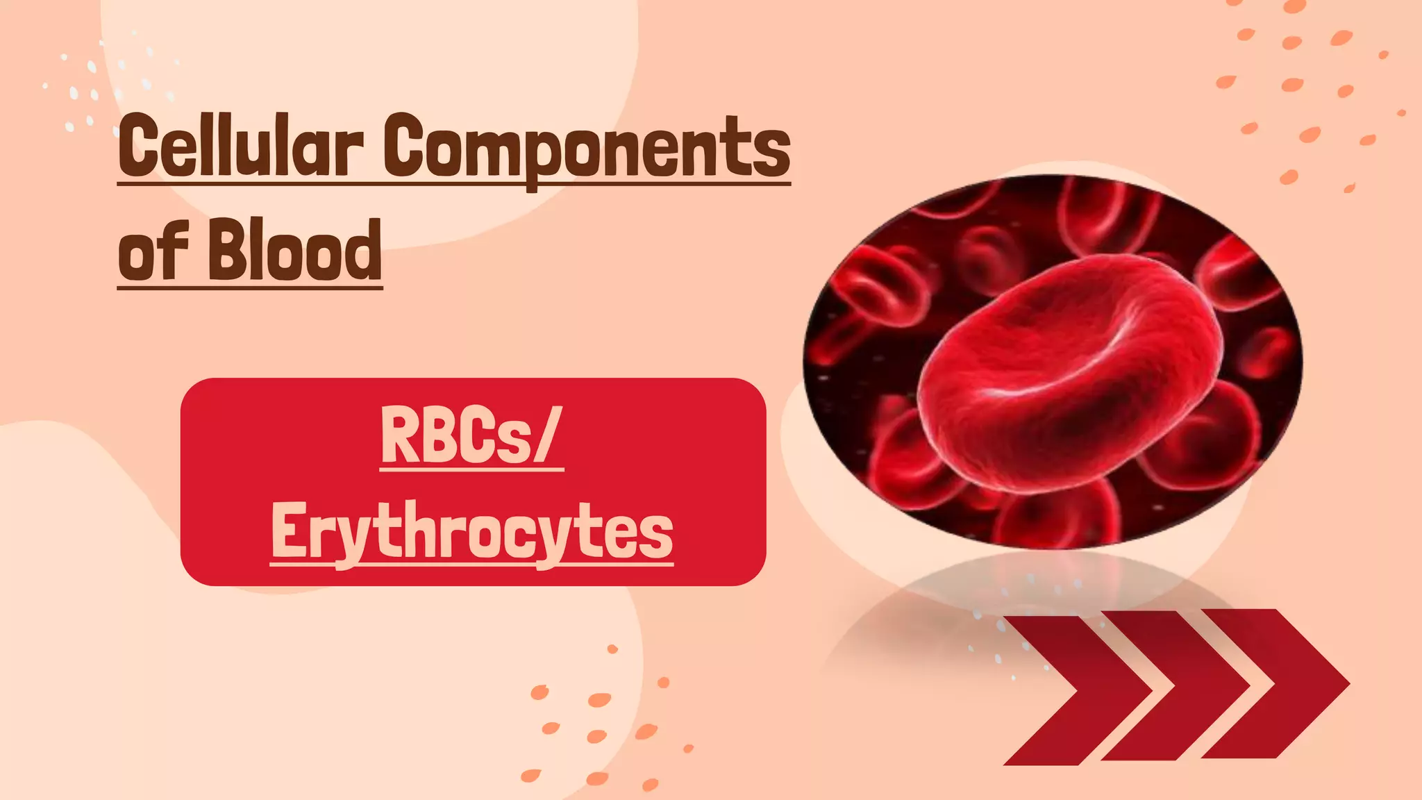 Blood its functions composition and Haemopoiesis.pptx