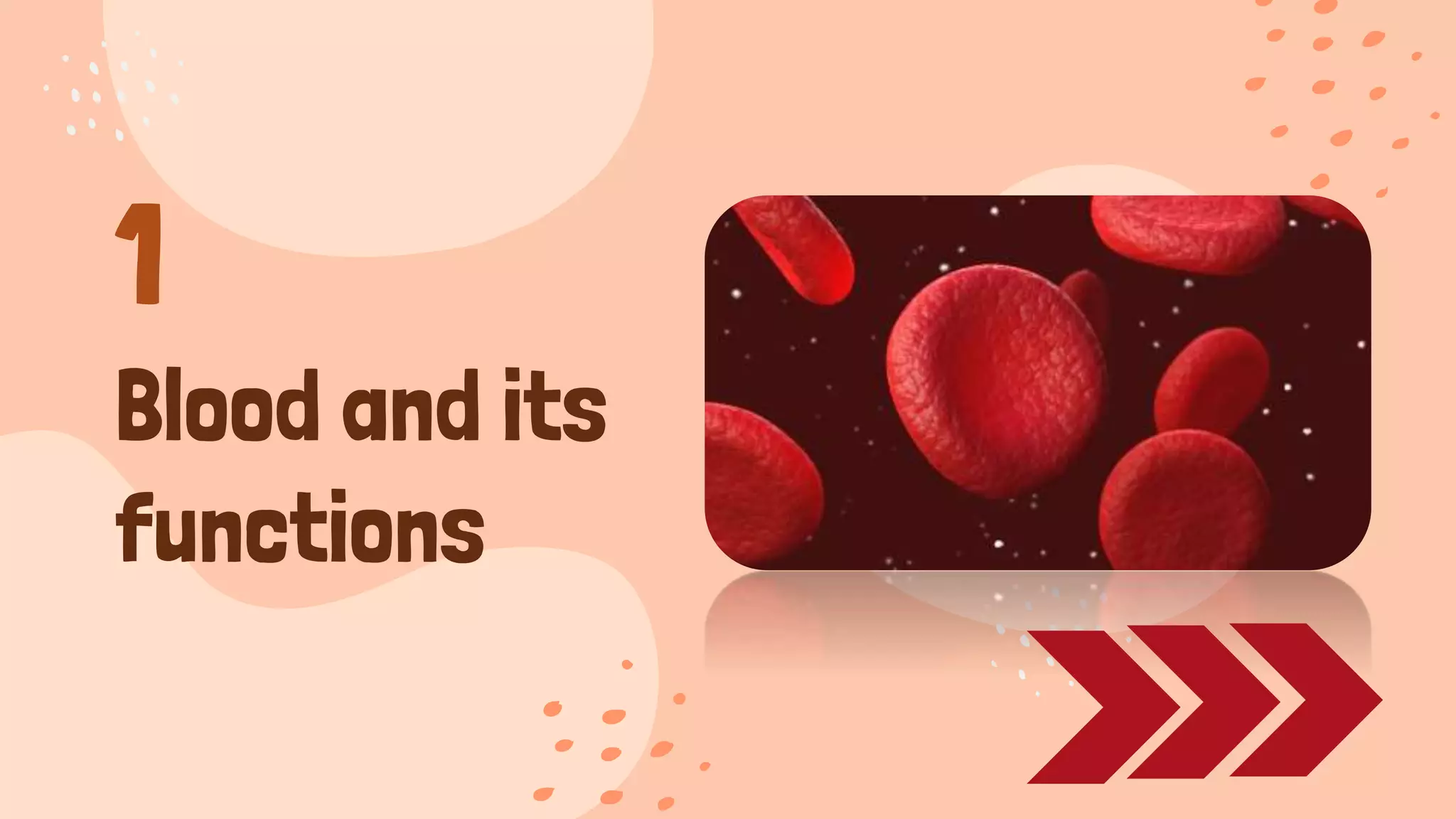 Blood its functions composition and Haemopoiesis.pptx | Blood Disorders ...