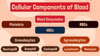 Blood its functions composition and Haemopoiesis.pptx | Blood Disorders ...