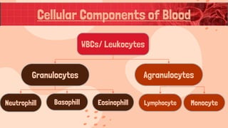 Blood its functions composition and Haemopoiesis.pptx | Blood Disorders ...
