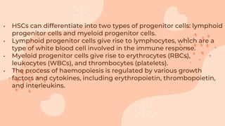 Blood its functions composition and Haemopoiesis.pptx | Blood Disorders ...