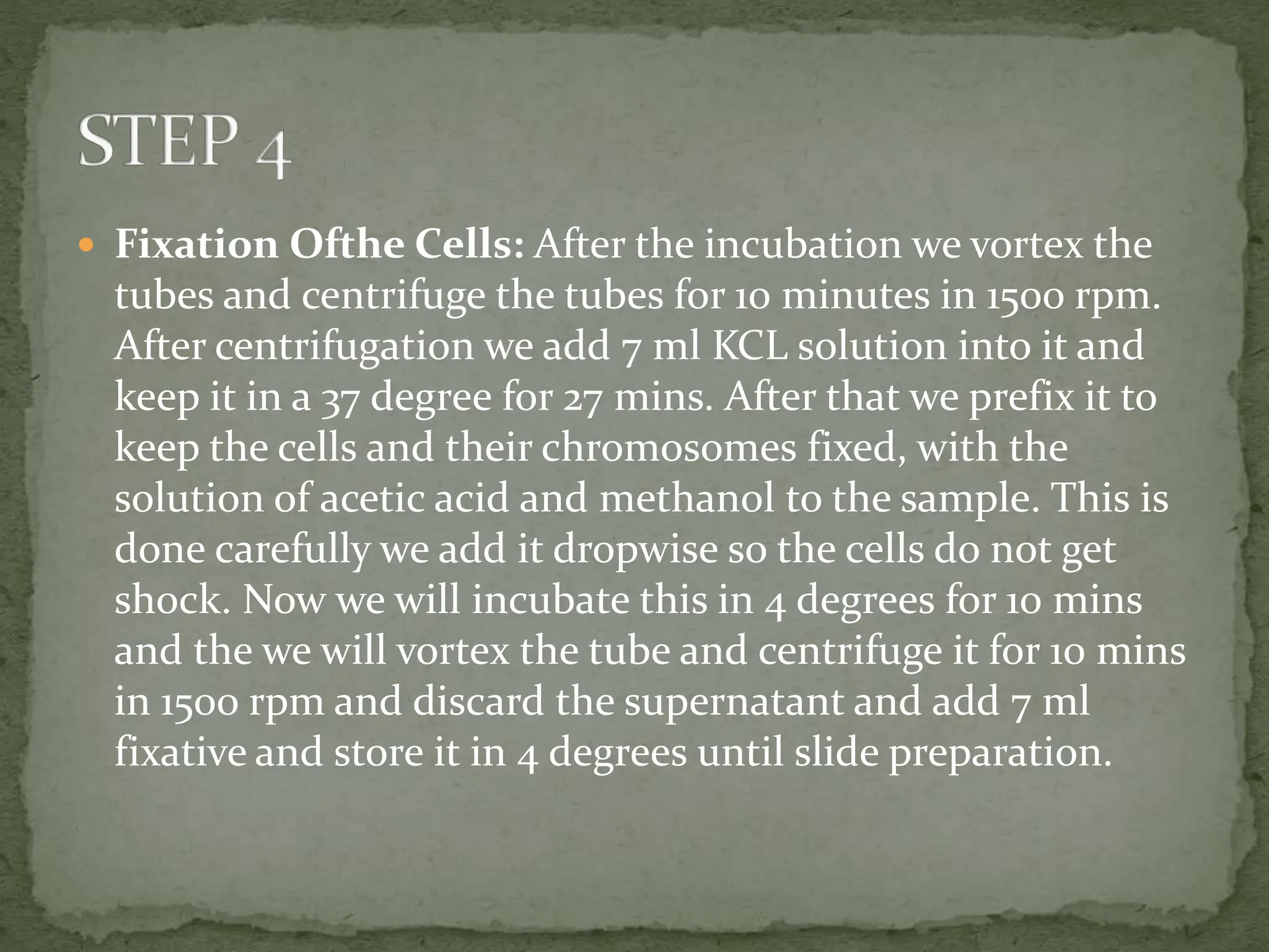 BLOOD KARYOTYPING: WHOLE BLOOD KARYOTYPING PROCESS | PPTX