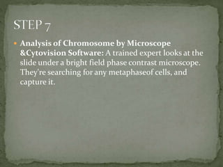 BLOOD KARYOTYPING: WHOLE BLOOD KARYOTYPING PROCESS | PPT