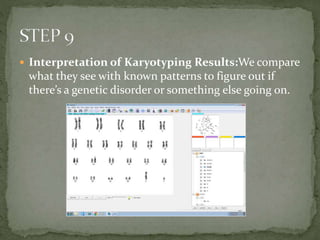 BLOOD KARYOTYPING: WHOLE BLOOD KARYOTYPING PROCESS | PPT