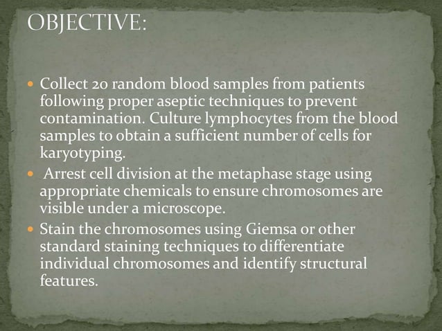 BLOOD KARYOTYPING: WHOLE BLOOD KARYOTYPING PROCESS | PPT