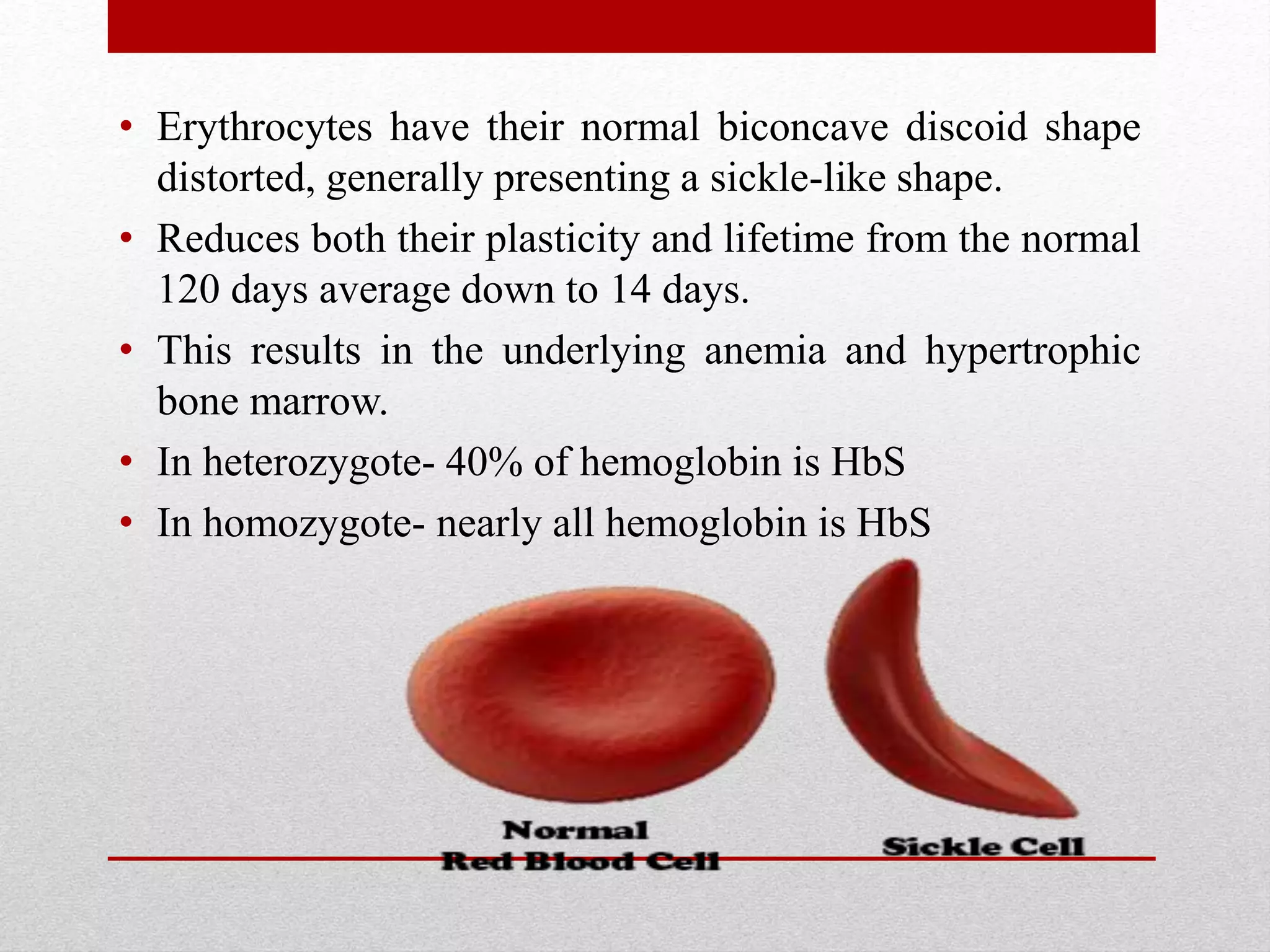 Blood disorders ppt | PPTX