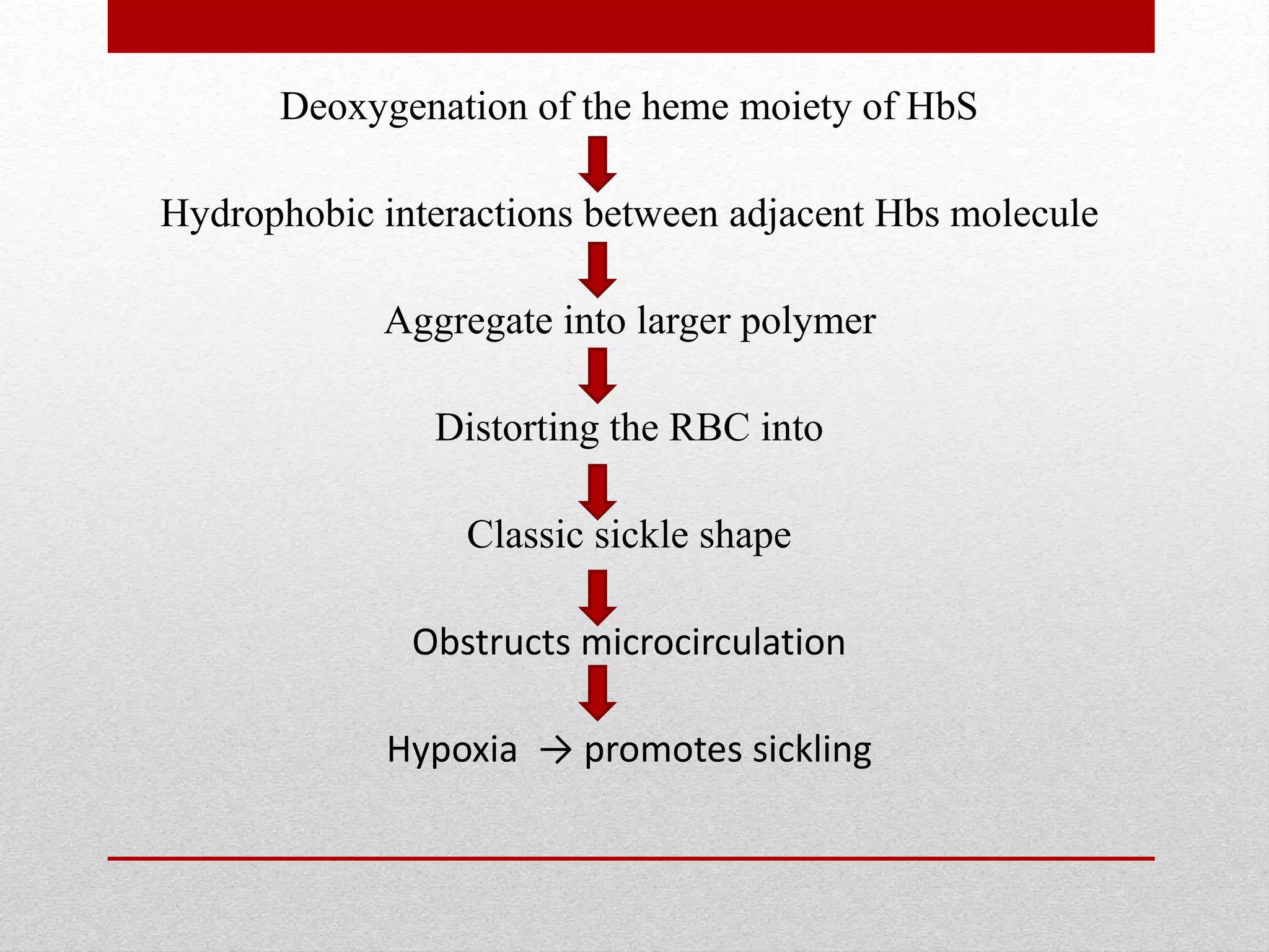 Blood disorders ppt | PPTX | Blood Disorders | Diseases and Conditions