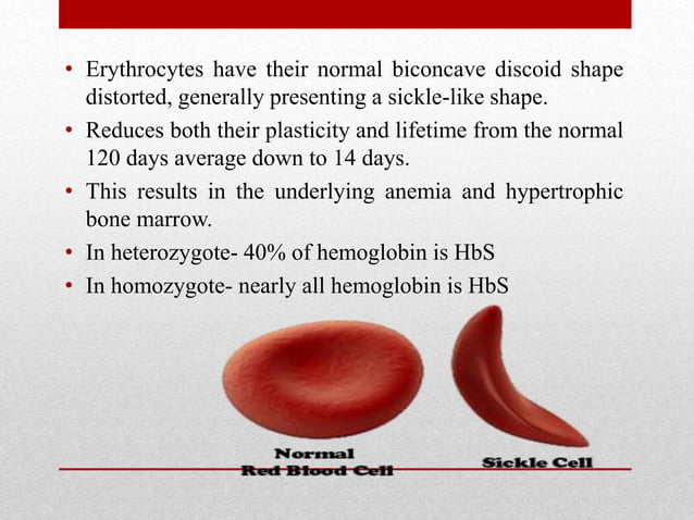 Blood disorders ppt | PPTX | Blood Disorders | Diseases and Conditions