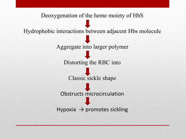 Blood disorders ppt | PPTX | Blood Disorders | Diseases and Conditions
