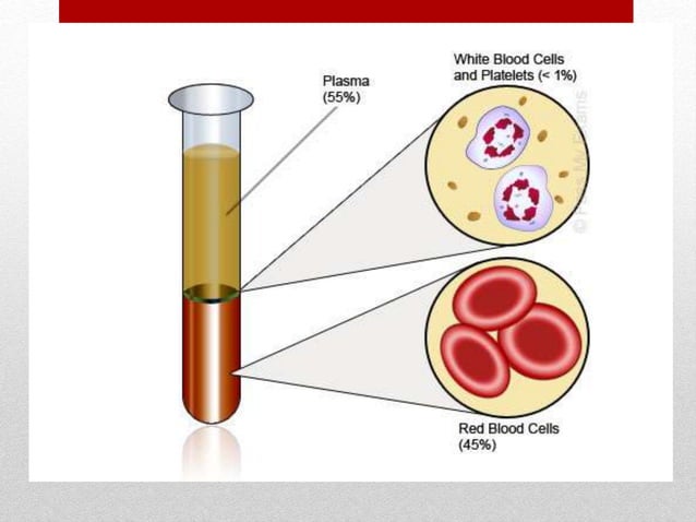 Blood disorders ppt | PPTX | Blood Disorders | Diseases and Conditions