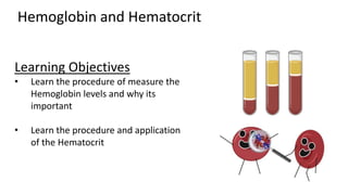 Blood lab.pptx