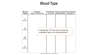 Blood lab.pptx