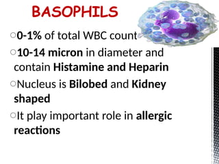 White Blood cells (leukocytes) and their functions. | PPTX
