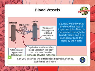Blood Lesson Presentation.pptxjjjjjjjjjjjjjjj | PPTX