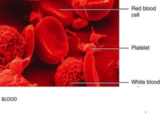 blood, how blood work in body and how nutrition work | PPTX