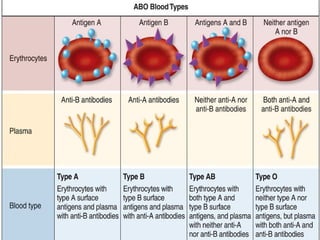 blood, how blood work in body and how nutrition work | PPTX