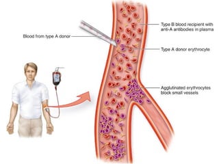blood, how blood work in body and how nutrition work | PPTX