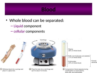 blood, how blood work in body and how nutrition work | PPTX