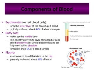 blood, how blood work in body and how nutrition work | PPTX