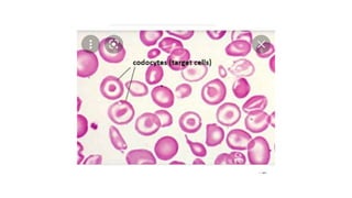 Blood module practicals | PPT