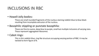 Blood module practicals | PPT