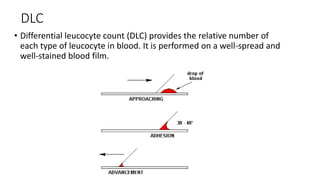 Blood module practicals | PPT