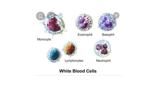 Blood module practicals | PPT