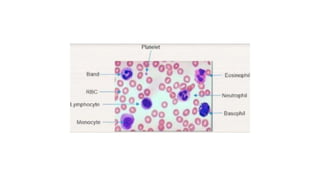 Blood module practicals | PPT