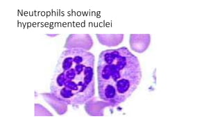 Blood module practicals | PPT
