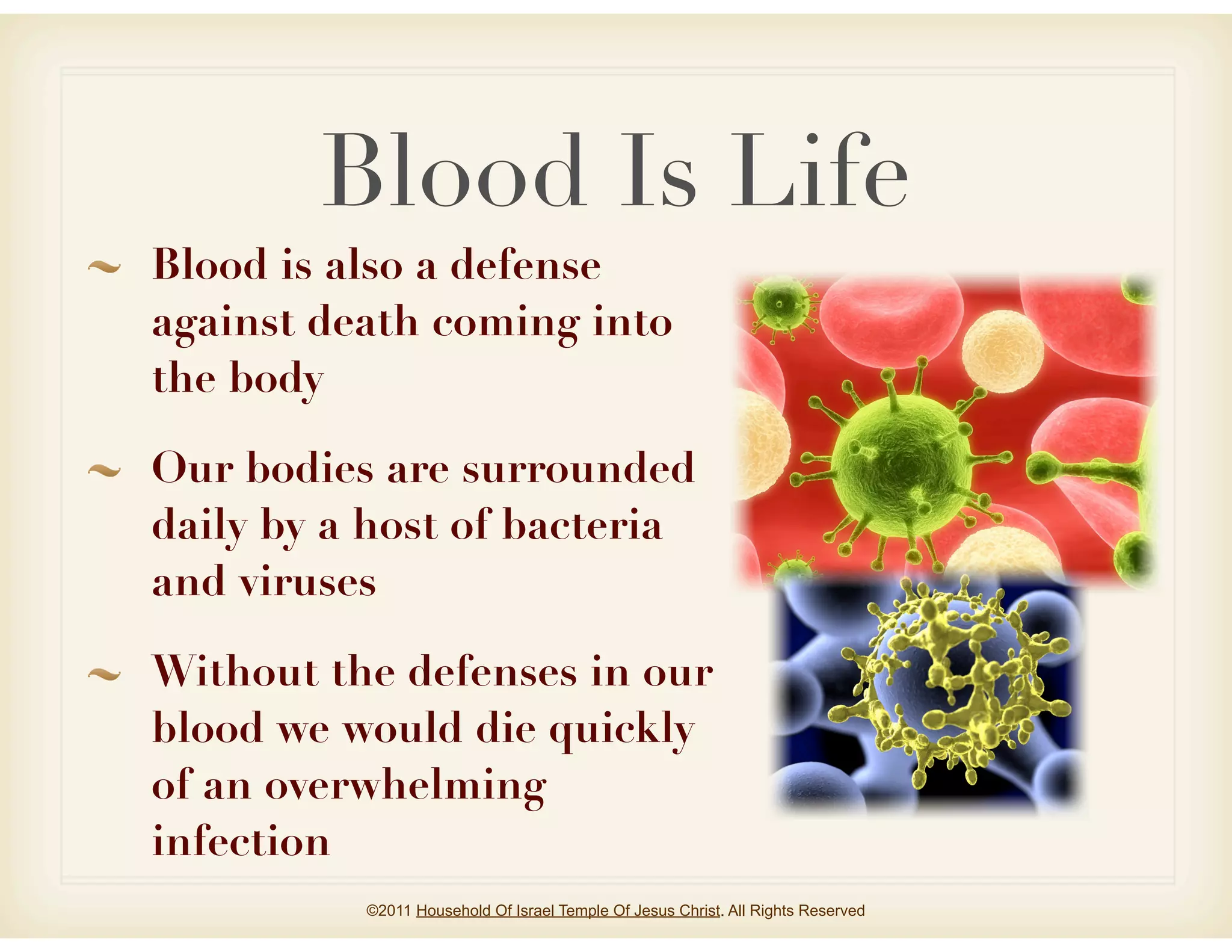 The Blood of Christ | PDF